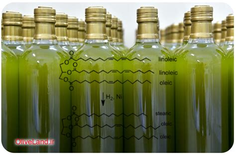 فرمول روغن زیتون اصل از نظر استانداردها روغن زیتون خرید روغن زیتون