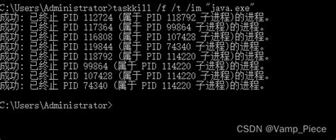Windows中查看端口占用情况及释放端口（java中6258端口启动失败）javaexe占用端口 Csdn博客