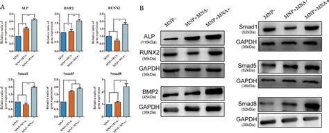 Anisotropic Structures Generated From Magnetic Nanoparticle Assemblies Download Scientific