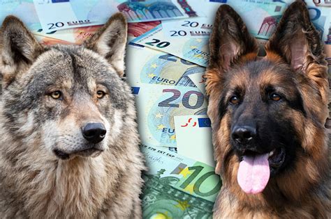 Mora Da Plati Državi Spor Iako Je Protiv Nje Dobio Presudu