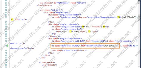 Aspnet Querystring Kullanımı Biliş Bilişim Teknolojileri