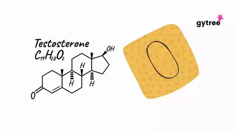 Testosterone Patch For Menopause 4 Benefits And Side Effects