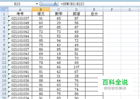Excel横向纵向自动求和的两种常用方法 百科全说