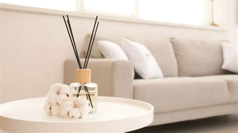 10 Best Fresh Linen Reed Diffusers For Every Budget That Isle Life