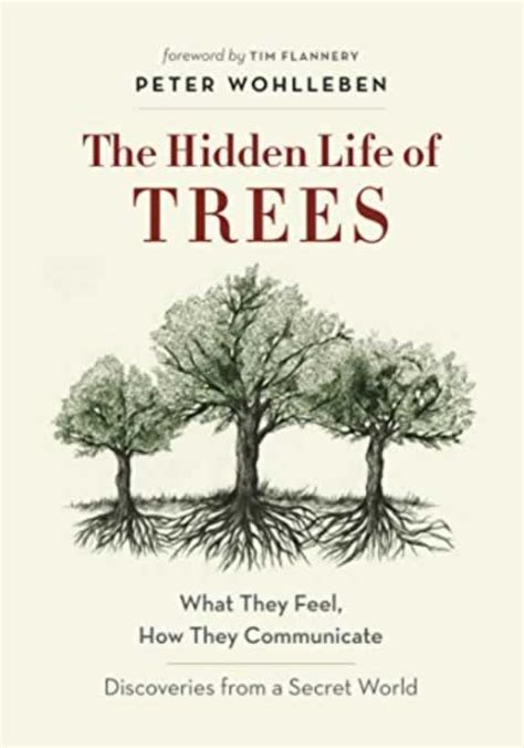 THE SYMBOLISM OF THE TREE Girvin Strategic Branding Design