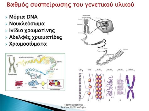 ΓΕΝΕΤΙΚΟ ΥΛΙΚΟ ΠΡΟΚΑΡΥΩΤΙΚΩΝ ΚΥΤΤΑΡΩΝ Ppt κατέβασμα