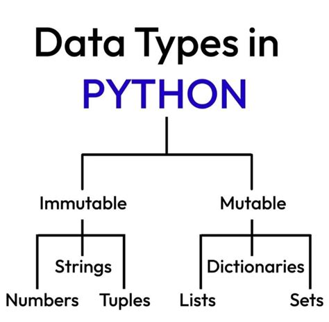 Integers Floats Strings Boolean Nonetype Lists Tuples Indexing