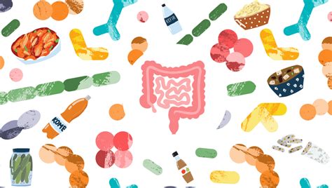 Fermented Foods Good For Your Gut Or Delicious Nonsense Iflscience