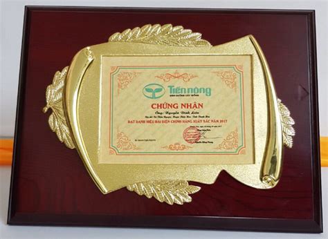Hướng Dẫn Cách Chọn Chất Liệu Bảng Vinh Danh