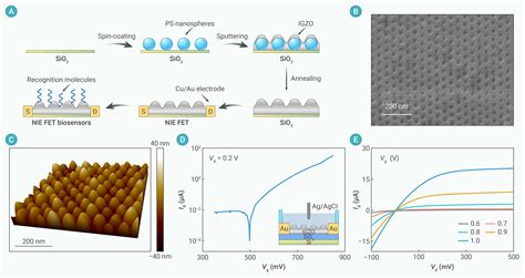 Nanostructured Interface Engineered Field Effect Transistor Biosensors For Sensitive Detection
