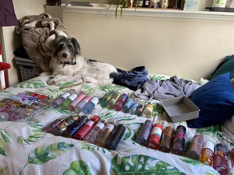 Goober Keeping Me Company While I Inventory My Body Sprays R