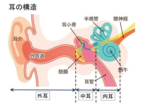点耳薬の使い方耳浴点耳耳あか窪田薬局上田市お薬豆知識