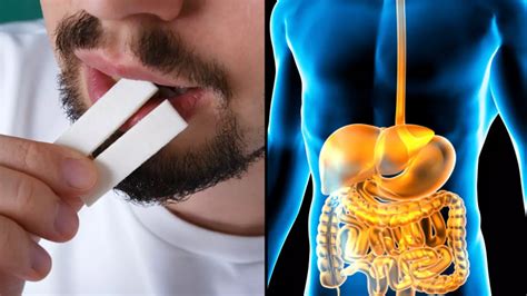 Truth Behind What Actually Happens If You Swallow Chewing Gum Weird