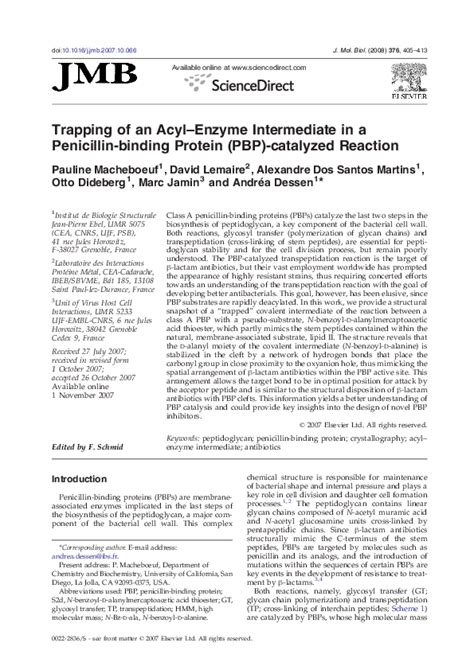 Pdf Trapping Of An Acylenzyme Intermediate In A Penicillin Binding