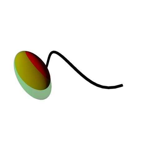 implicitization of a space curve represented by data points sampled