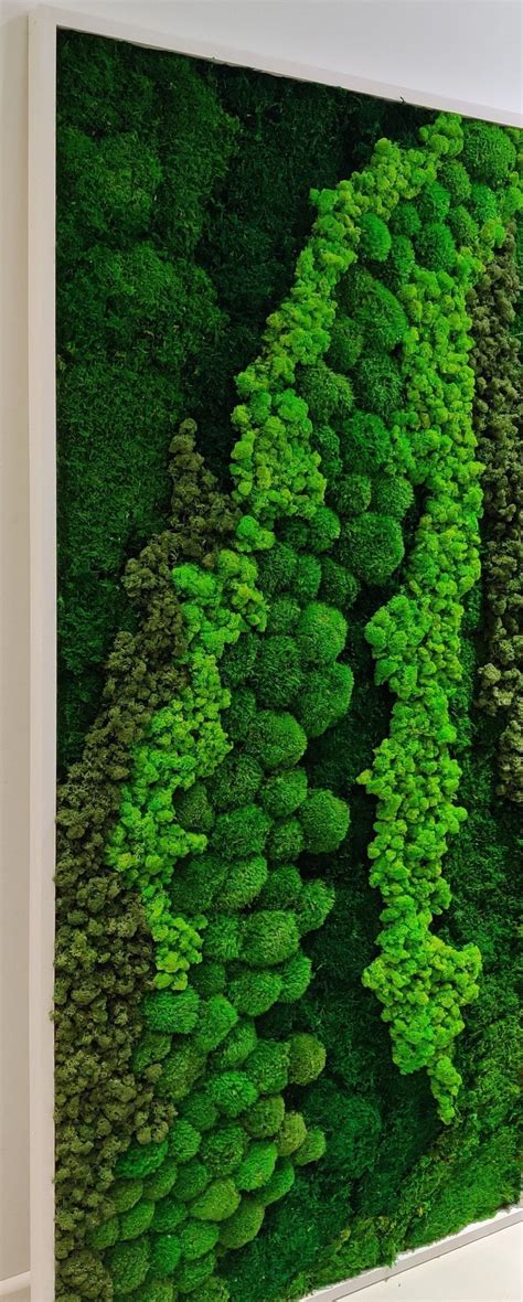Moss Frame Green Wall Art Wall Decor Preserved Moss Vertical Garden