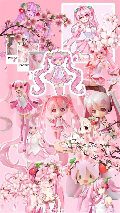 Sakura Hatsune Miku Wallpapers Wallpaper Cave Sakura Hatsune Miku Wallpapers Wallpaper Cave
