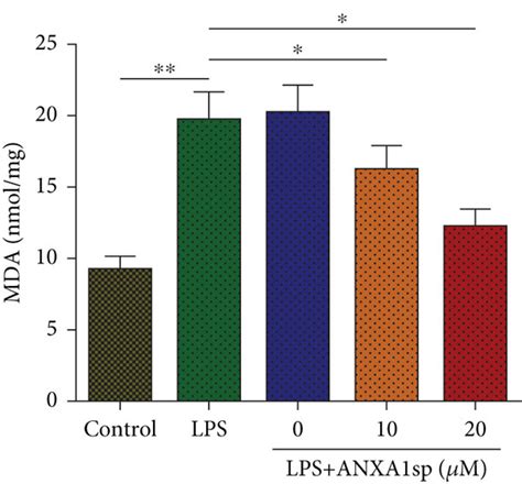 Anxa1sp Inhibits Lps Caused Oxidative Stress And Ferroptosis In H9c2