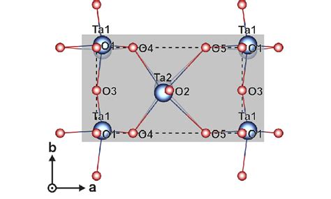 Schematic Of The C Plane For The Ta 2 O 5 Structure Proposed By Lehovec Download Scientific