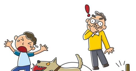 우리 개는 안 물어요견주 부주의 개 물림 사고 매년 2000건