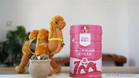 燕窝酸配方驼奶粉 新疆驼奶厂家骆驼奶粉 搜狐大视野 搜狐新闻
