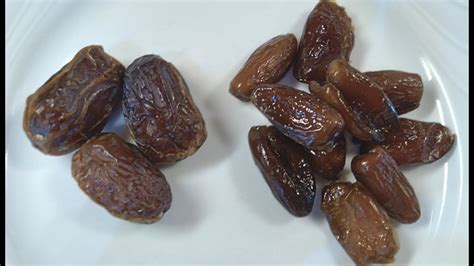 dates 101 selecting and storing dates youtube