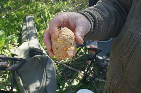 Michigan Carp Fishing Blog Saginaw River