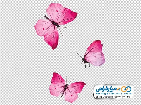 نقاشی پروانه 10181135 همیار طراحی