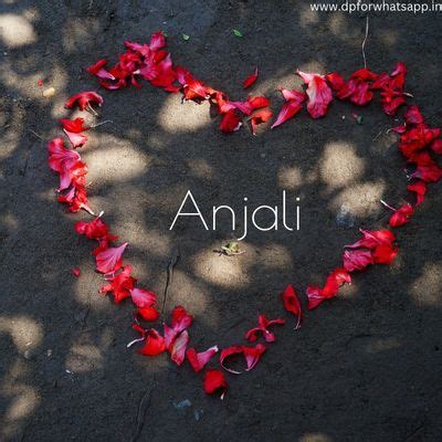 Anjali Name Photo अजल नम क फट