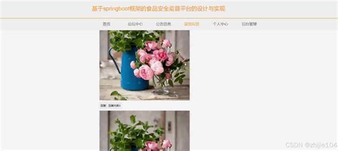 基于djangovue框架的食品安全监督平台的设计与实现【开题报告程序论文】 计算机毕设基于django Vue3的监控平台报告 Csdn博客