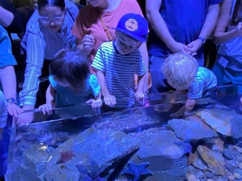 Dive Into An Unforgettable Adventure At The New Discovery Cube Sea Lab