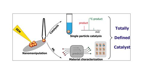 Representative Particle Definition