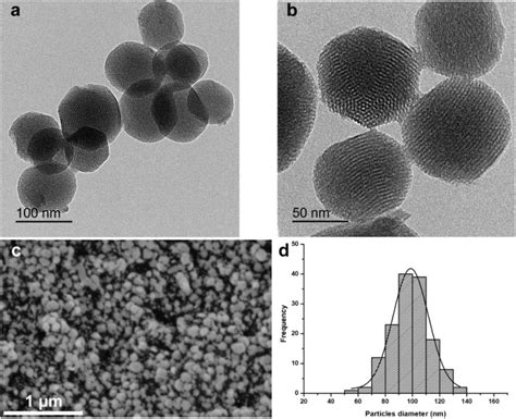 A And B Tem C Sem Micrographs For Msns And D Particle Size