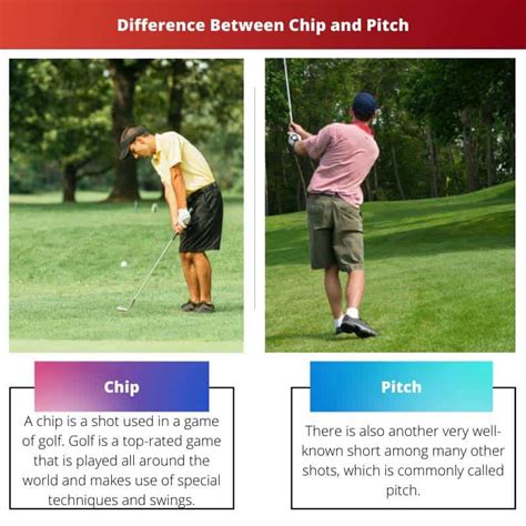 Chip Vs Pitch Difference And Comparison