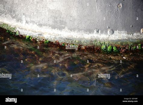 Ship Hull With Algae Stock Photo Alamy