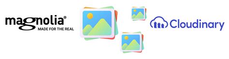 Cloudinary External Dam Module Introduction Magnolia Cms Docs
