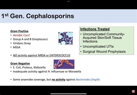 세파계 항생제 종류 Cephalosporin 세팔로스포린 Cefazolin Ceftriaxone 등 Generation