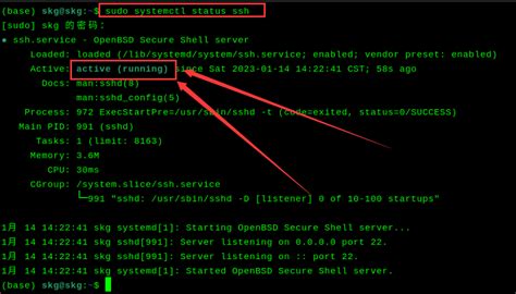 Vmware Ubuntu Ip Ssh
