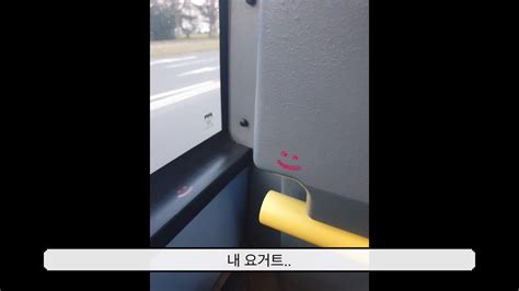 체코 교환학생 체코 소도시 일상 Youtube