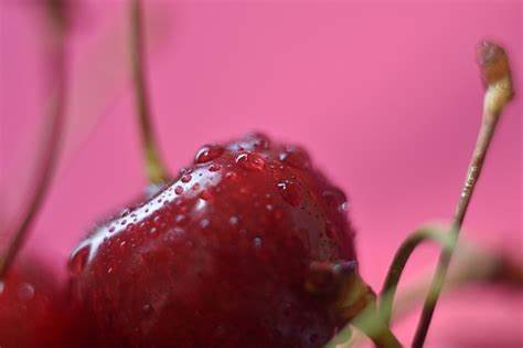 달콤한 신선한 빨간 체리 매크로 이미지에서 배경 물 방울 체리 매크로 배경입니다 0명에 대한 스톡 사진 및 기타 이미지 0명