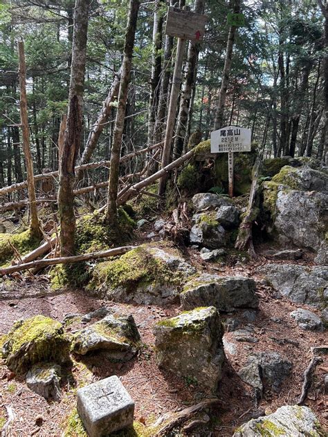 前尾高山・尾高山・奥尾高山 まるはしさんのしらびそ高原の活動データ Yamap ヤマップ