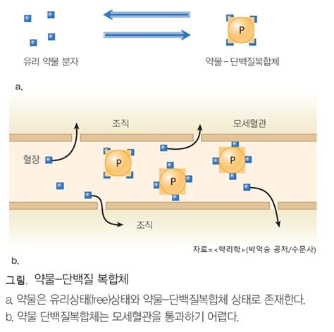 함께 먹으면 안 되는 약들 왜 이렇게 많죠 의사가 설명하는 약물 이야기
