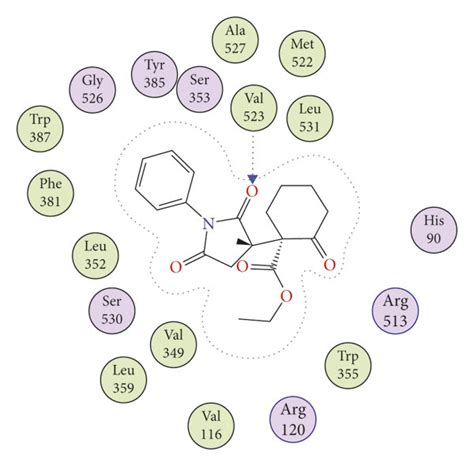 2d Two Dimensional Binding Interaction Pattern Of Compounds A C And