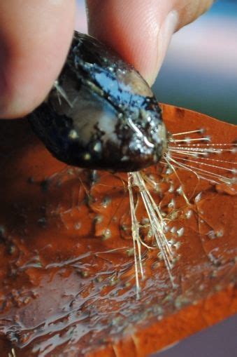 Sex In The Sea Bloomscool Sex In The Sea Bloomscool