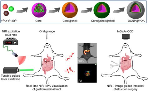 Polydopamine Coated Downconversion Nanoparticle As An Efficient Dual Modal Near Infrared Ii