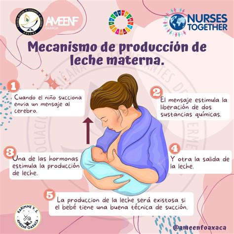 Destacan Beneficios De La Leche Materna