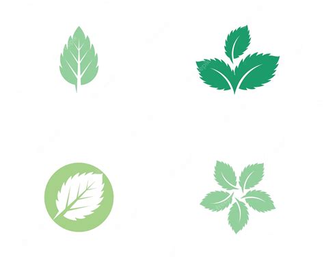 Icono De Vector Plano De Hojas De Menta Vector Premium
