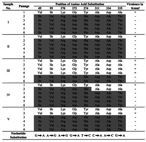 Representative Samples Of Covariation Of Amino Acids Of Wthcrsv Capsid