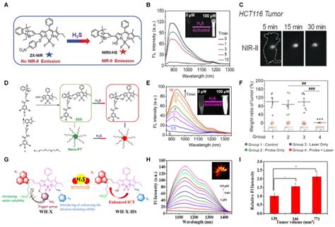 Activatable Nir Ii Organic Fluorescent Probes For Bioimaging Pmc