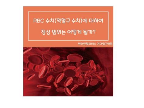 Rbc 수치적혈구 수치에 대하여 정상 범위는 어떻게 될까 네이버 블로그
